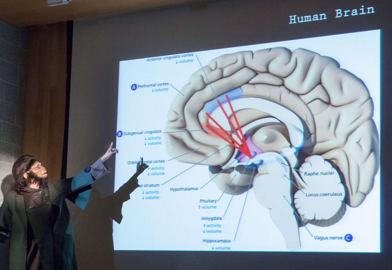 HKW | Observations of Predation in Humans: A Lecture by Dr. Zira ...